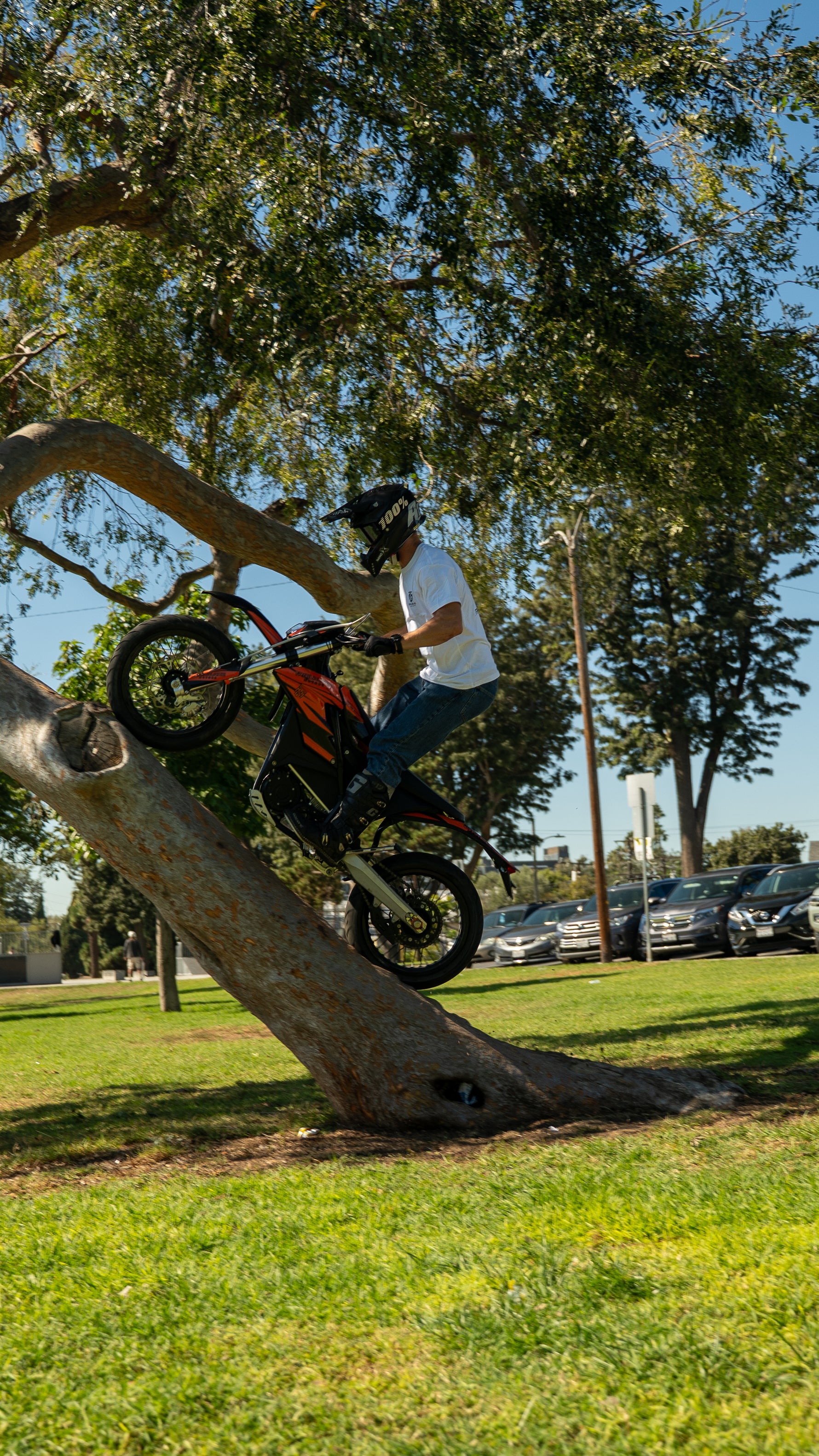 Electric Dirt Bikes for Sale | Trailblaze Motors LLC